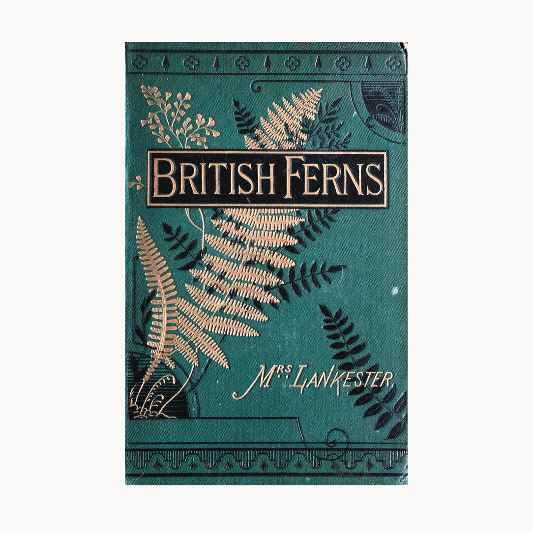 British Ferns by Mrs. Lankester – lescargot.papier